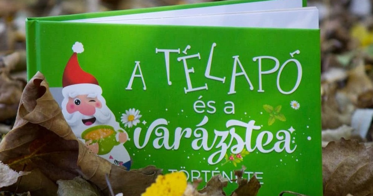 Mesekönyv ajánló: A Télapó és a varázstea története | EgészségKalauz
